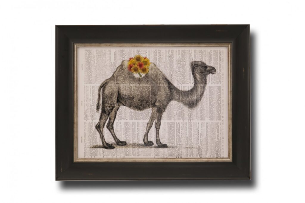 Flower Back Camel - Morgan Doyles